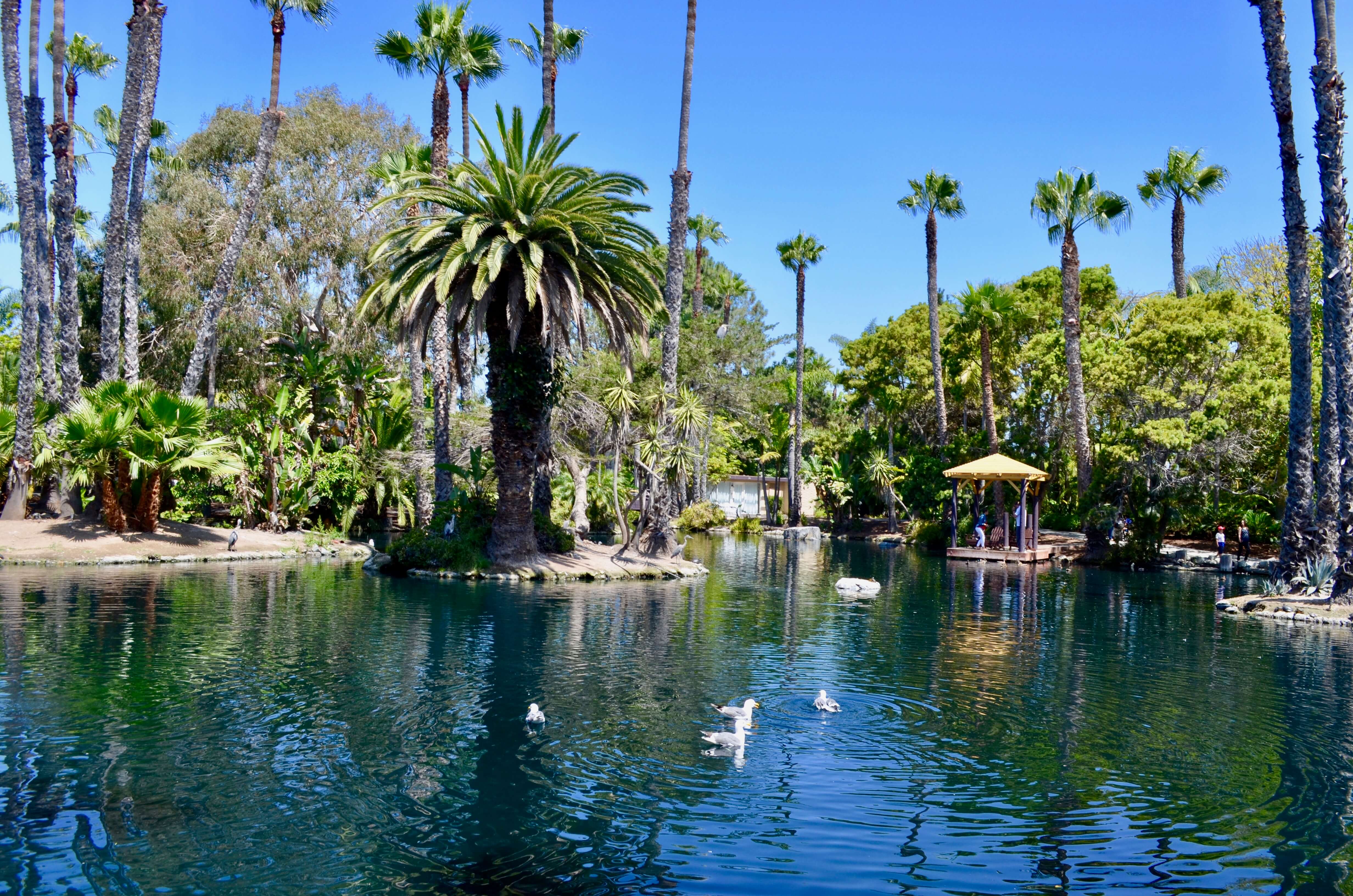 Paradise Point Resort & Spa San Diego - Mission Beach